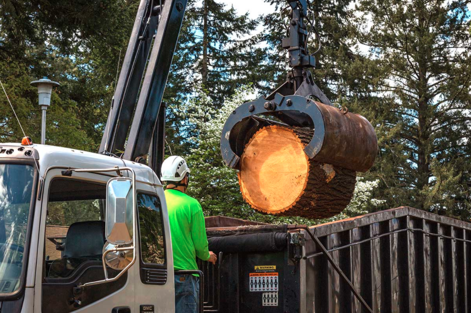 General Tree Service - 78 Recommendations - Beaverton, OR - Nextdoor