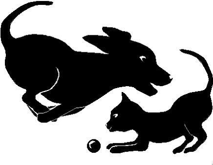 Sanders' Animal Hospital - 39 Recommendations - Jonesborough, TN - Nextdoor