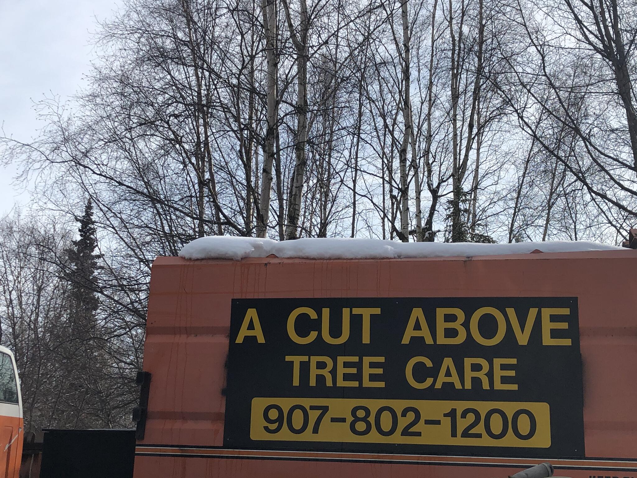 A Cut Above Tree Care - 11 Recommendations - Anchorage, AK - Nextdoor