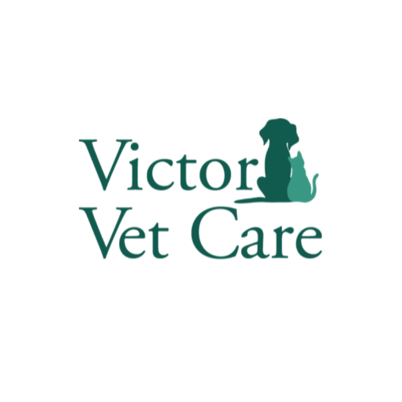 Victor Vet Care - 18 Recommendations - Victor, NY - Nextdoor