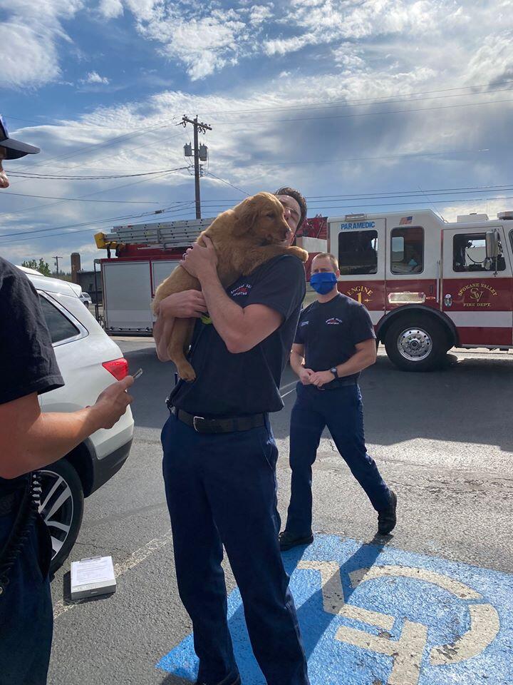 Spokane Valley Fire Department Fire Chief, Bryan Collins has announced ...