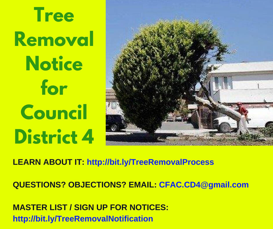 Tree Removal Notice for Stakeholders in CD4 - What, Where, and How to ...