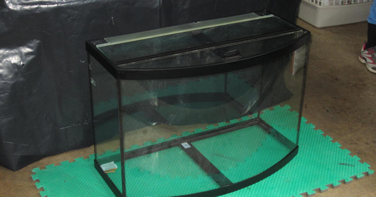 Bow Front Aquarium with Stand and Filtration System plus 10 Gallon Tank ...