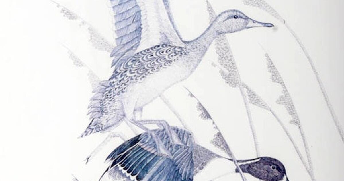 $65 · Artist GENE MURRAY Signed & Numbered “Ducks in Flight” — Nextdoor