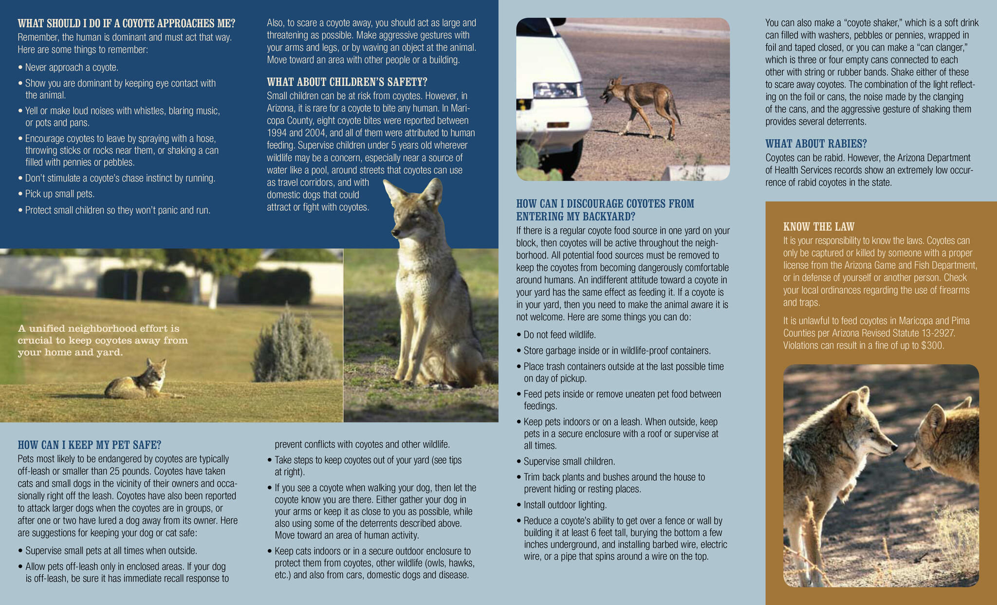 Coyote awareness (Town of Prescott Valley) — Nextdoor — Nextdoor